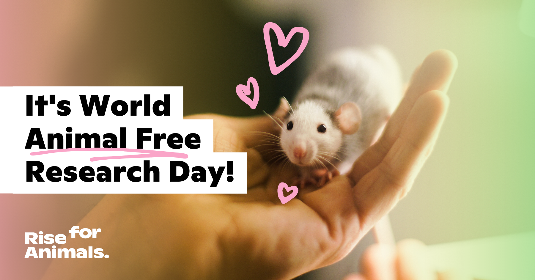 It's World Animal Free Research Day! – Rise for Animals