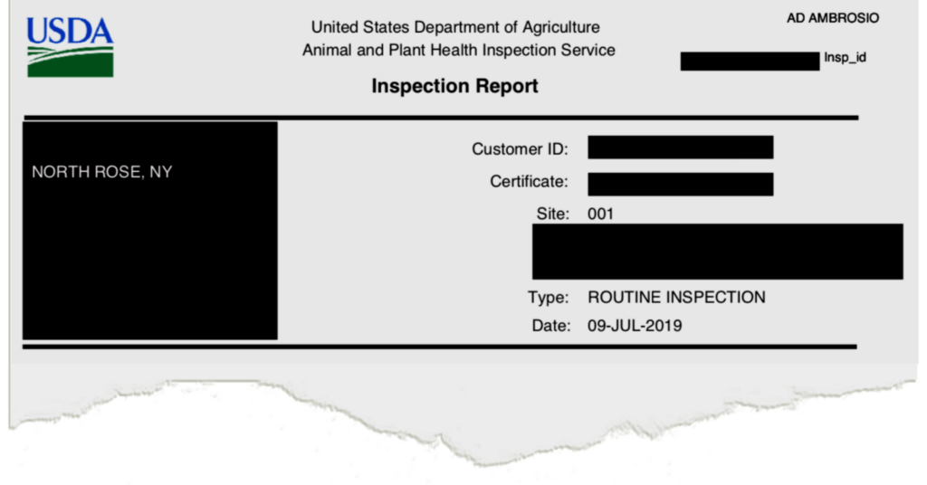 It's a Puppy Mill. It's a Factory Farm. – Rise for Animals