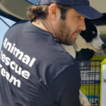 Rescue Recap – Rise for Animals