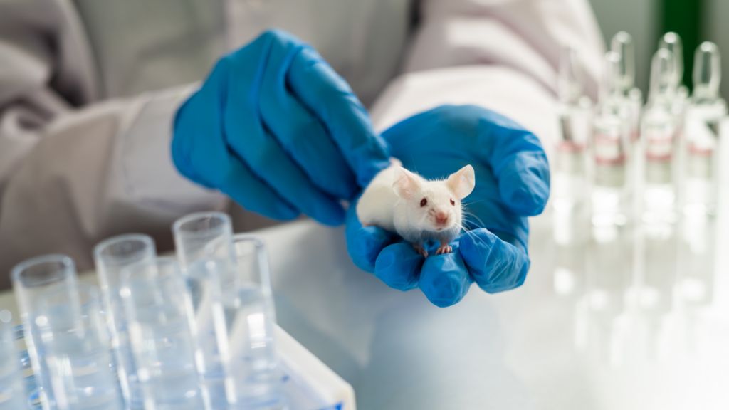 Sabotage! Scientist kills pregnant mice to ruin experiment – Rise for ...