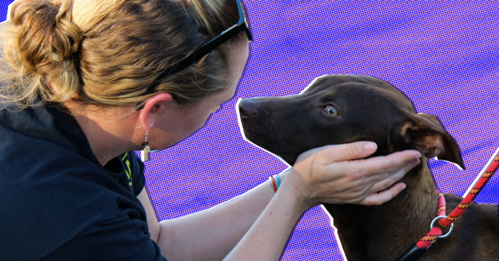 Thanks to You: Cooper's 'Happily Ever After' – Rise for Animals