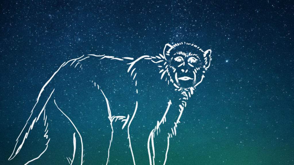 NASA Killed Every Primate in Its Possession on a Single Day – Rise for ...