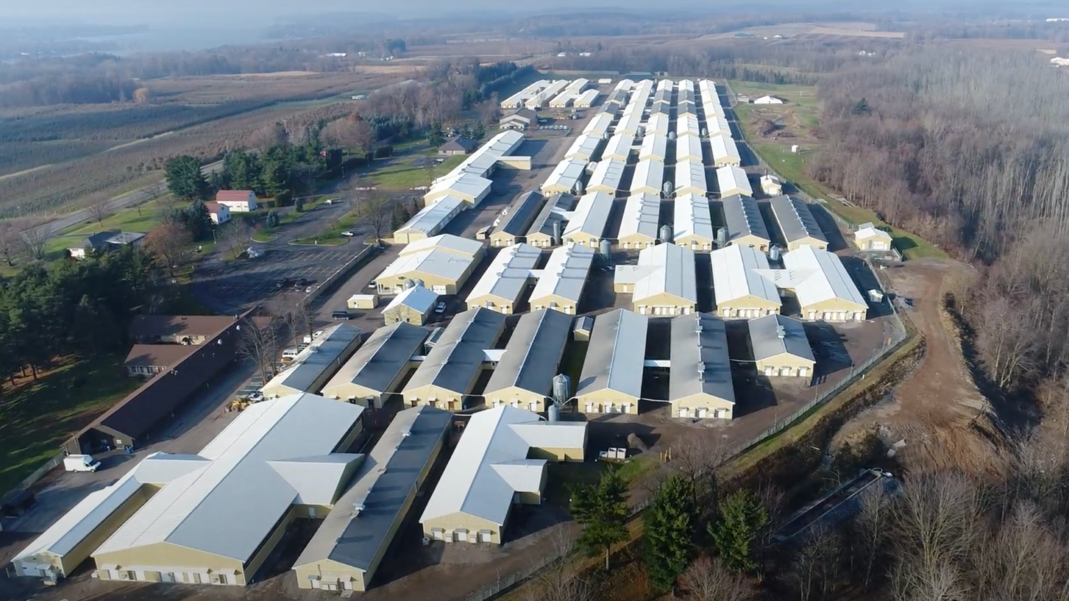 2021: Our Year to Save Animals – Rise for Animals