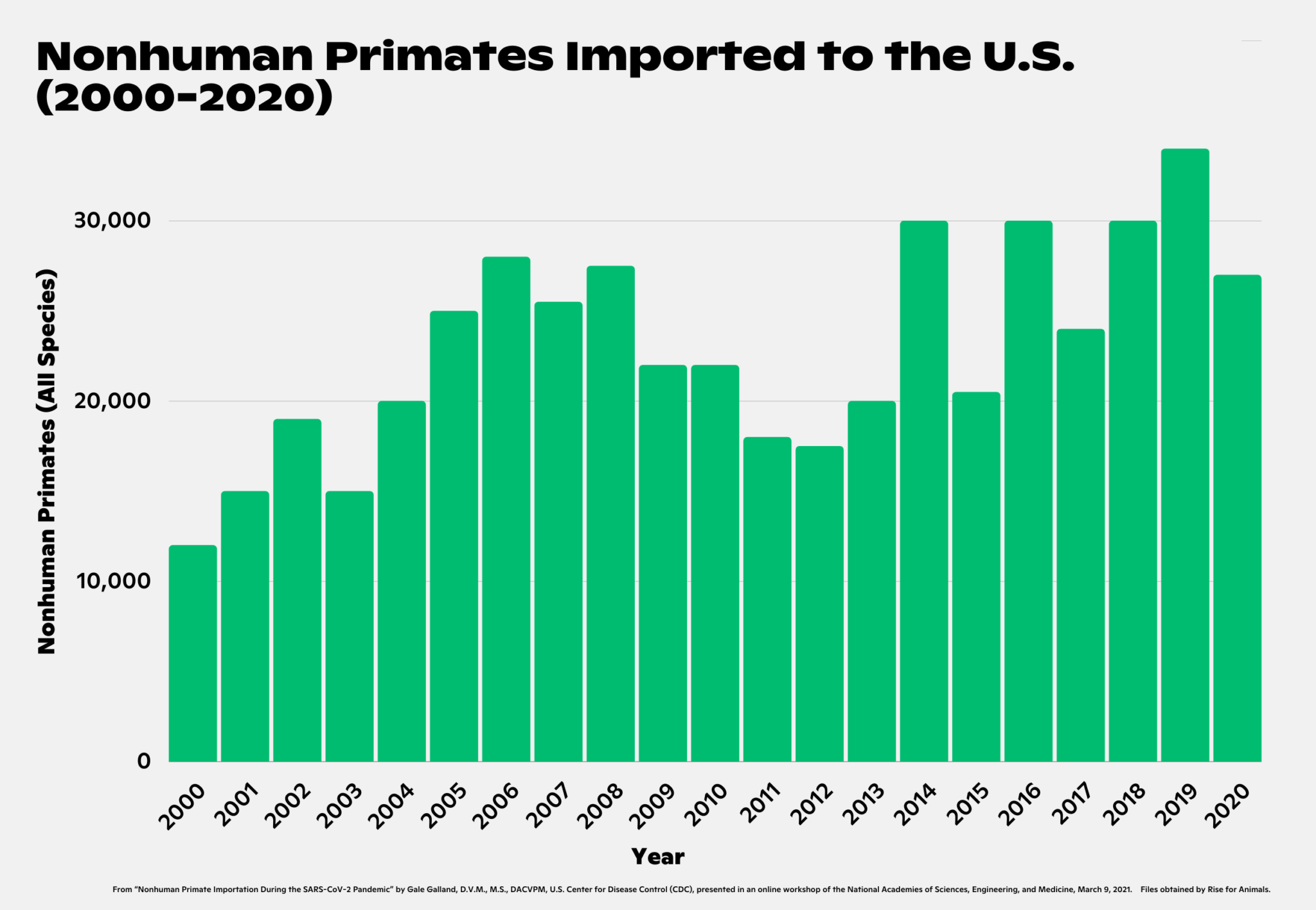 Exclusive: Nearly Half a Million Monkeys Imported to U.S. – Rise for ...