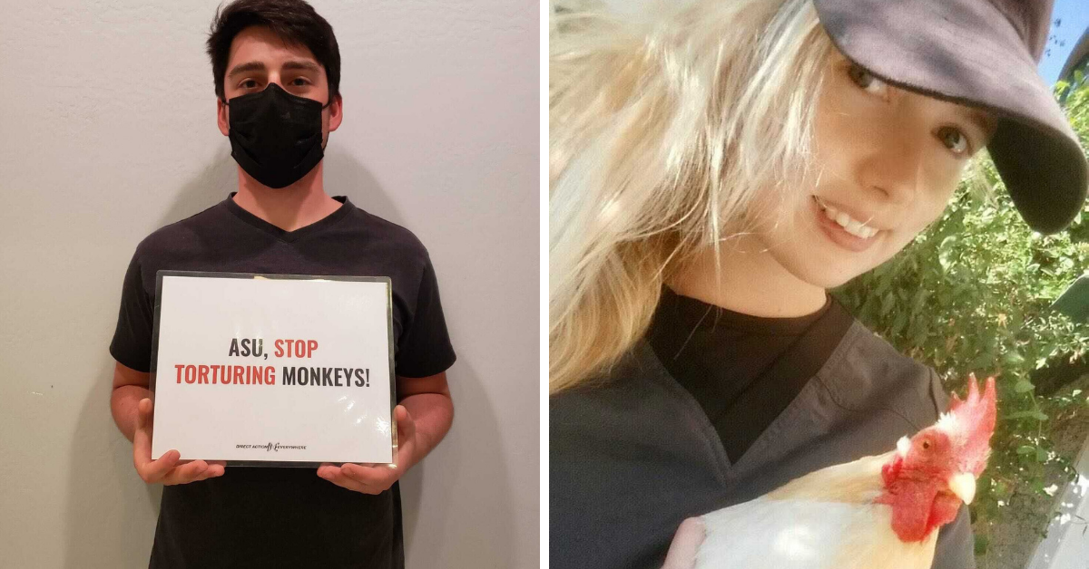 Meet Activists Working to Save Monkeys in ASU’s Labs – Rise for Animals