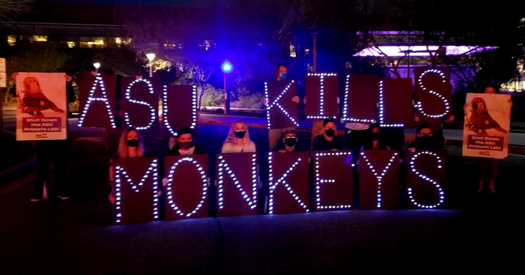 Meet Activists Working to Save Monkeys in ASU’s Labs – Rise for Animals