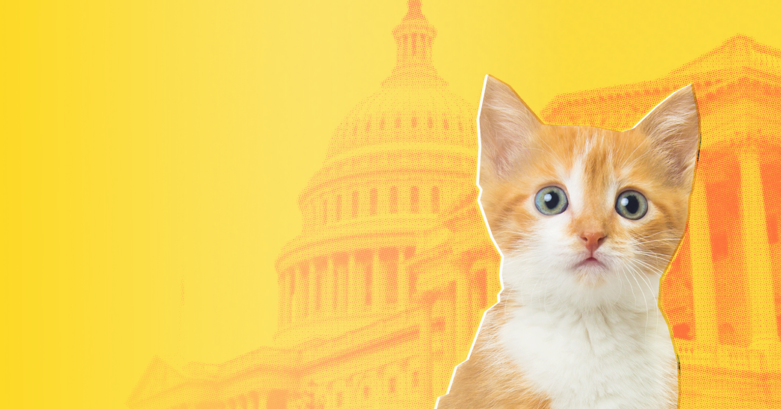 Rise for Animals - Legislation – Rise for Animals