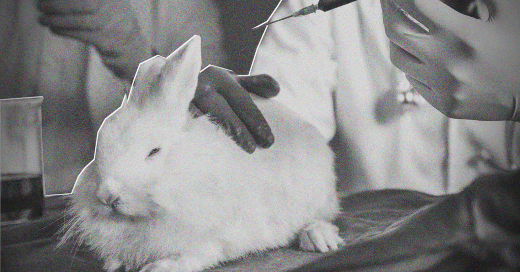 Animal Testing Revealed on “Cruelty Free” Cosmetics – Rise for Animals