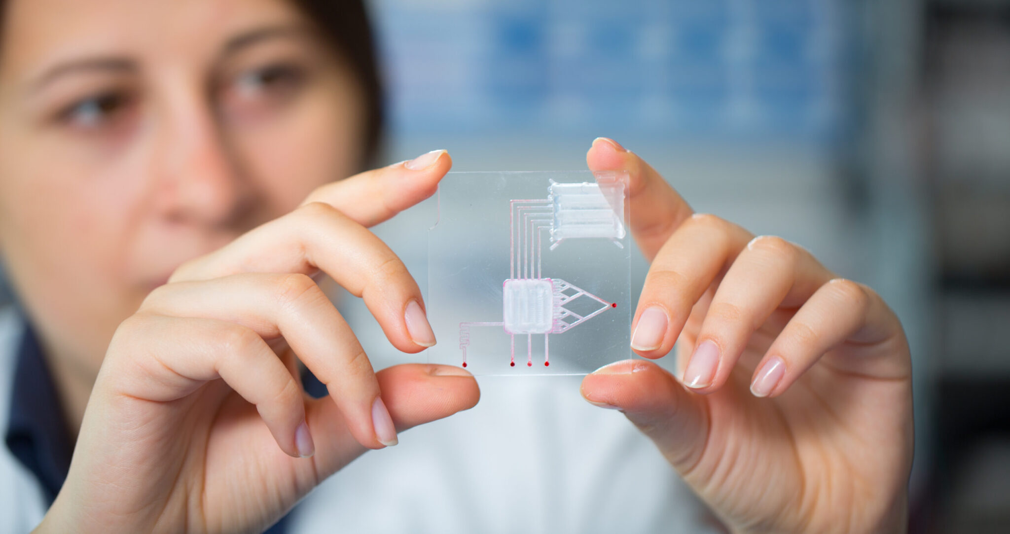 Protecting Animals & Modernizing Science – Rise for Animals