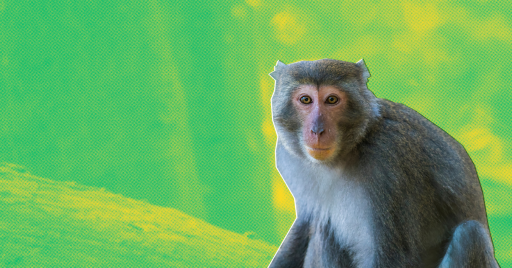 Anti-Vivisection and Animal Rights Events – Rise for Animals