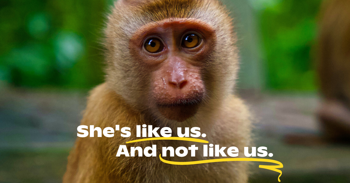 Take Action for Helen: Part 6—Sentience – Rise for Animals