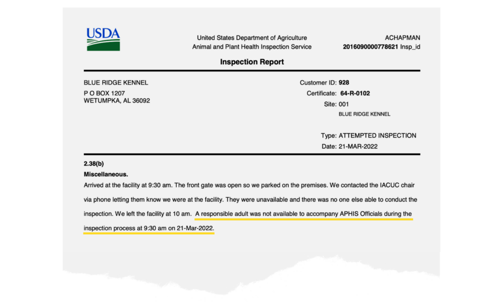 Look in a Lab: Blue Ridge Kennel – Rise for Animals