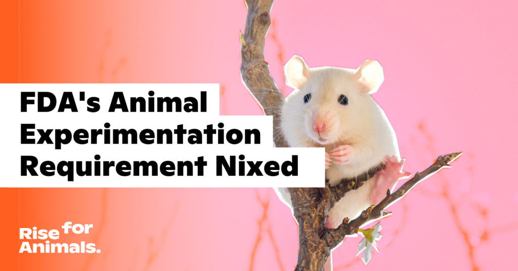 Congress Passes the FDA Modernization Act 2.0 – Rise for Animals