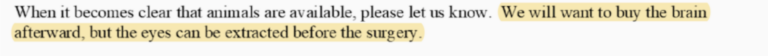 Look in a Lab: What’s Happening to Monkeys at UW? – Rise for Animals