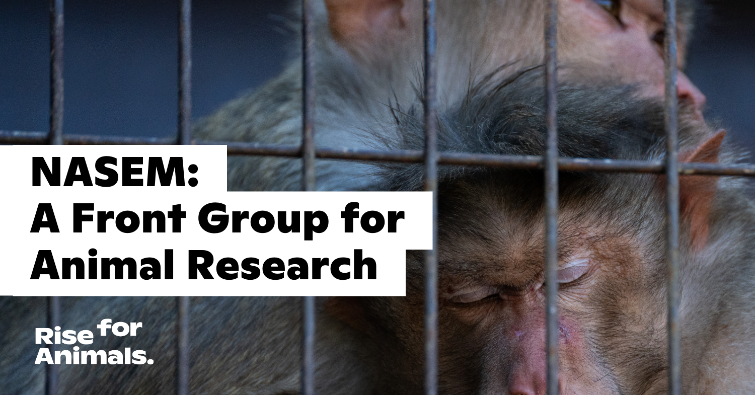 NASEM: An Animal Research Industry Front Group – Rise for Animals