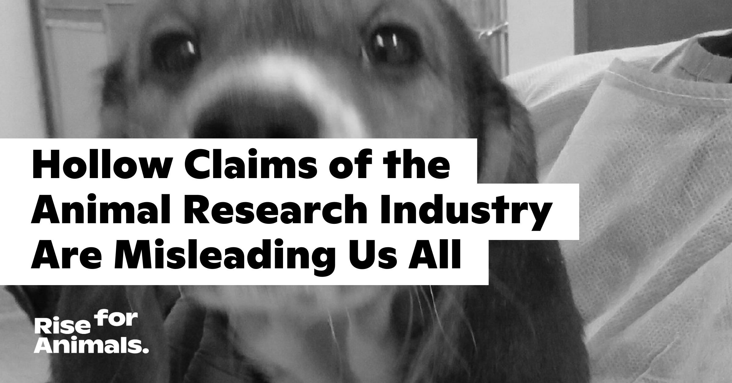 Hollow Claims of the Animal Research Industry Mislead Us All – Rise for ...