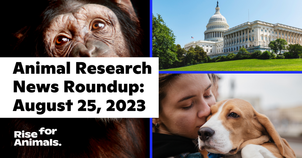 News Roundup: August 25, 2023 – Rise for Animals