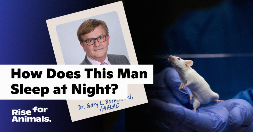 How Does This Man Sleep at Night? – Rise for Animals