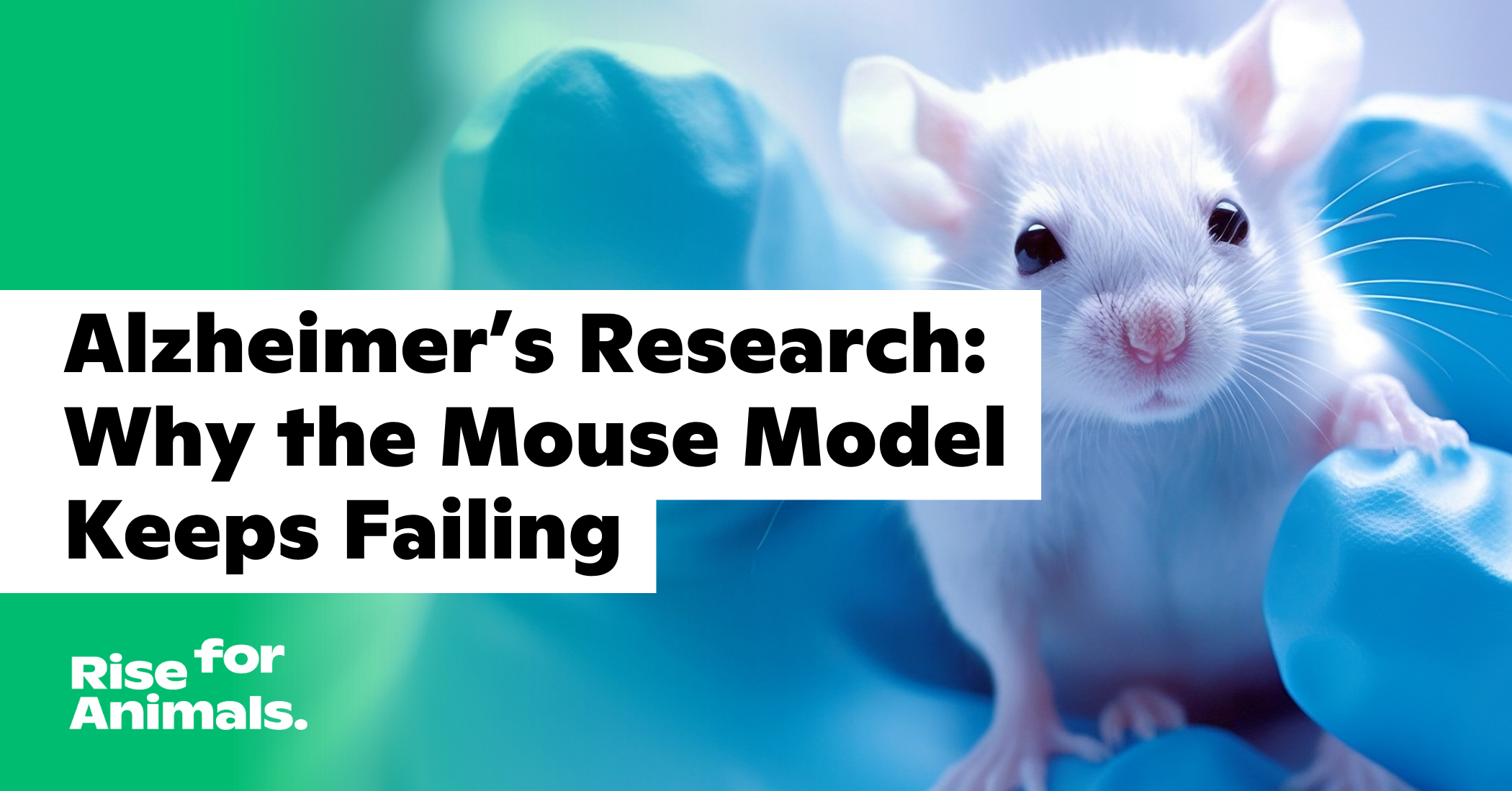 Alzheimer’s Research: Why the Mouse Model Keeps Failing – Rise for Animals