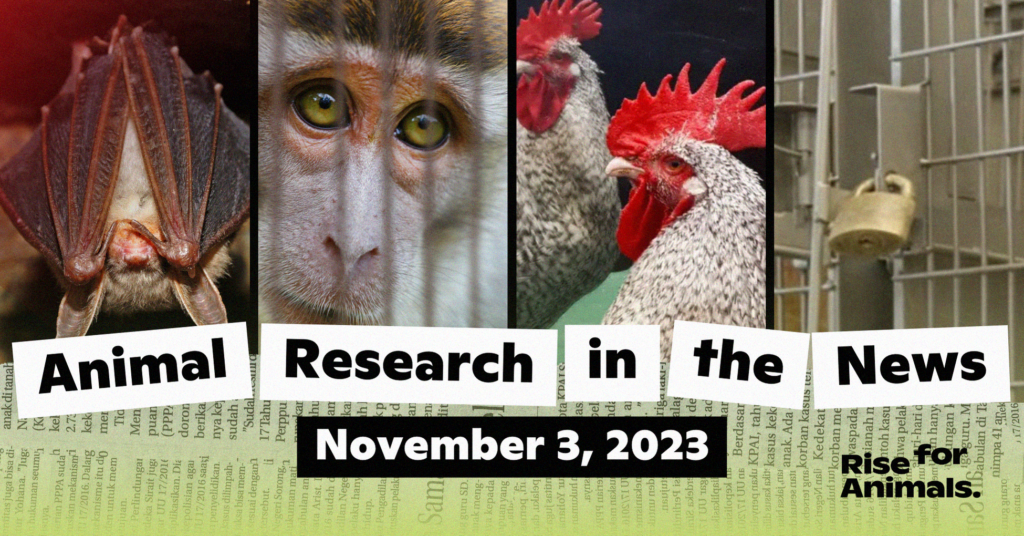 Animal Research News Roundup – Rise for Animals