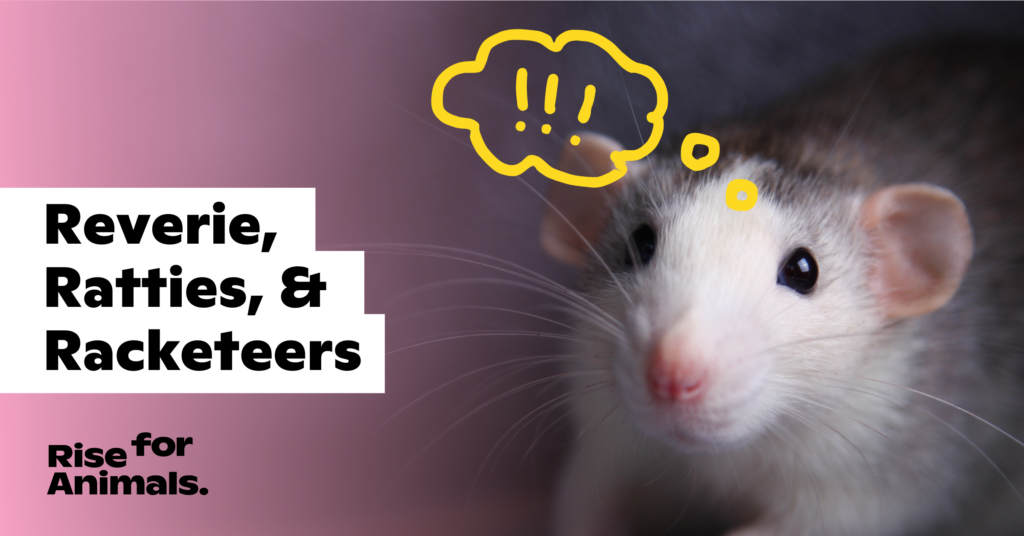 Reverie, Ratties, & Racketeers – Rise for Animals