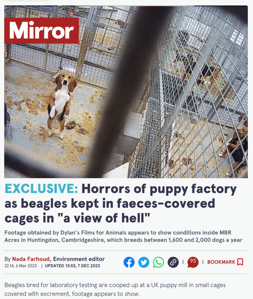 Mirror, Mirror on the Wall: Animal Research and Media Spin – Rise for ...