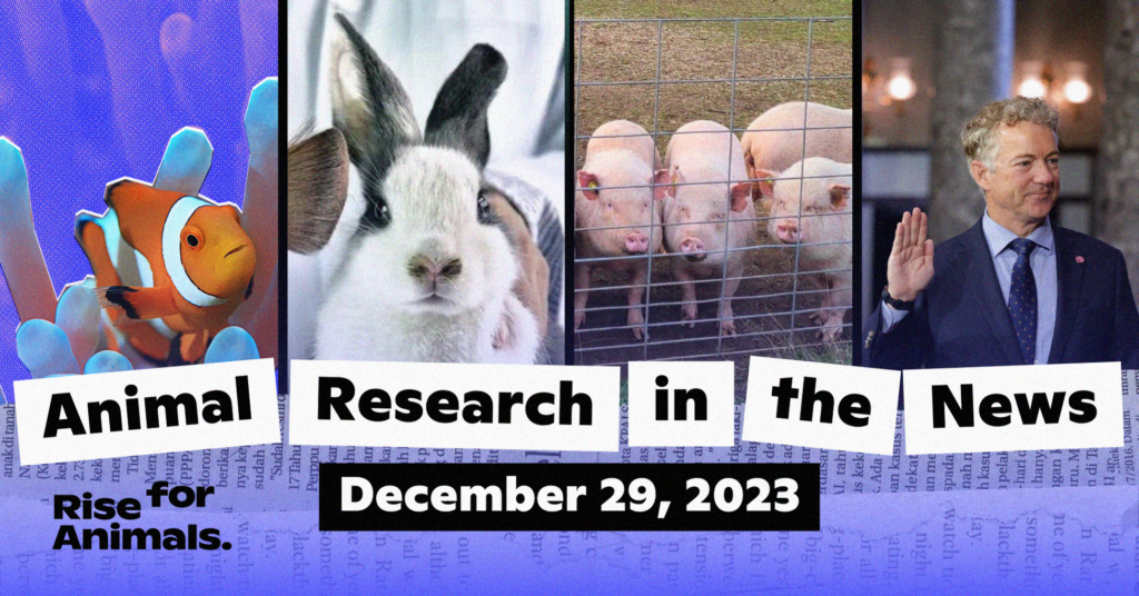 Animal Research News Roundup – Rise for Animals