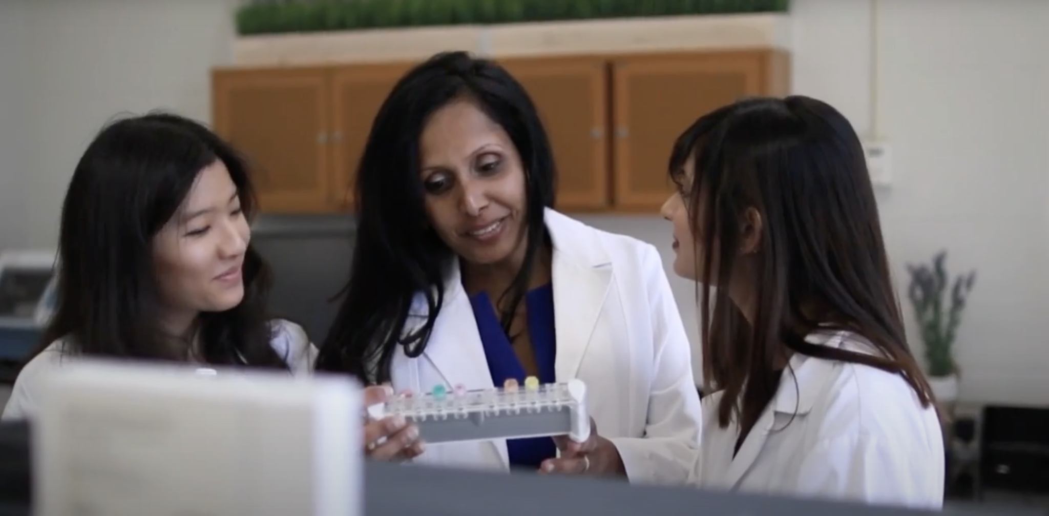 Animal Testing is Incurably Toxic, Eh? – Rise for Animals