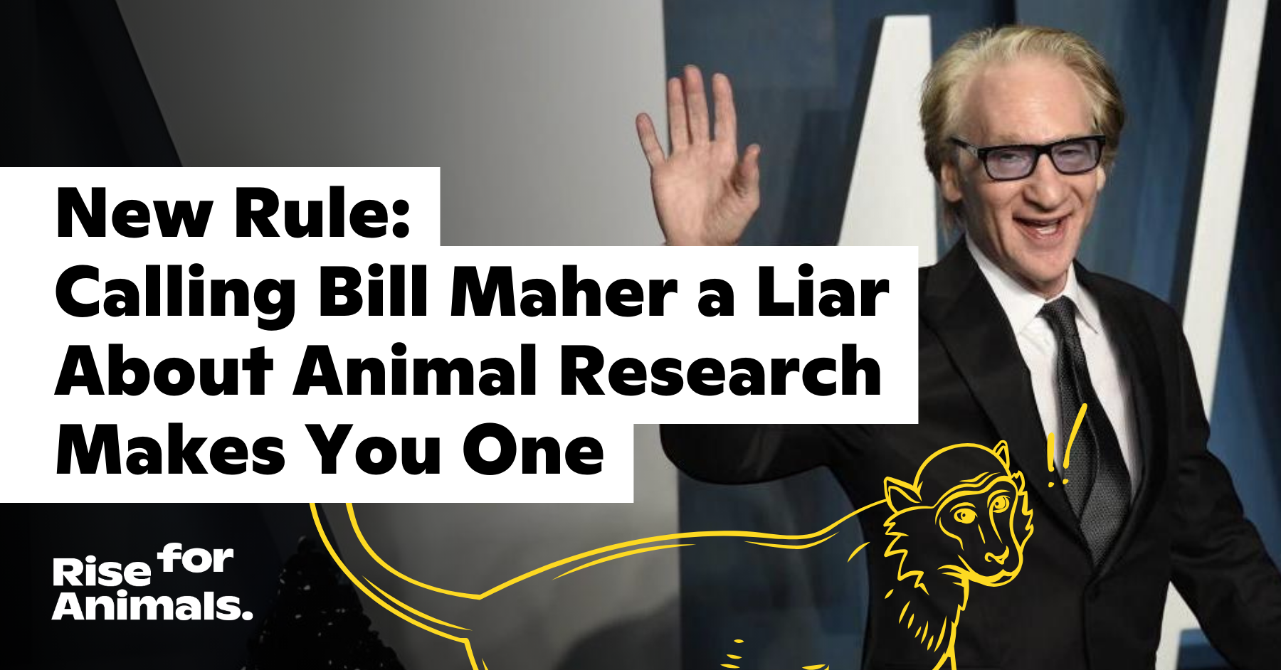 Calling Maher a Liar About Animal Research Makes You One – Rise for Animals