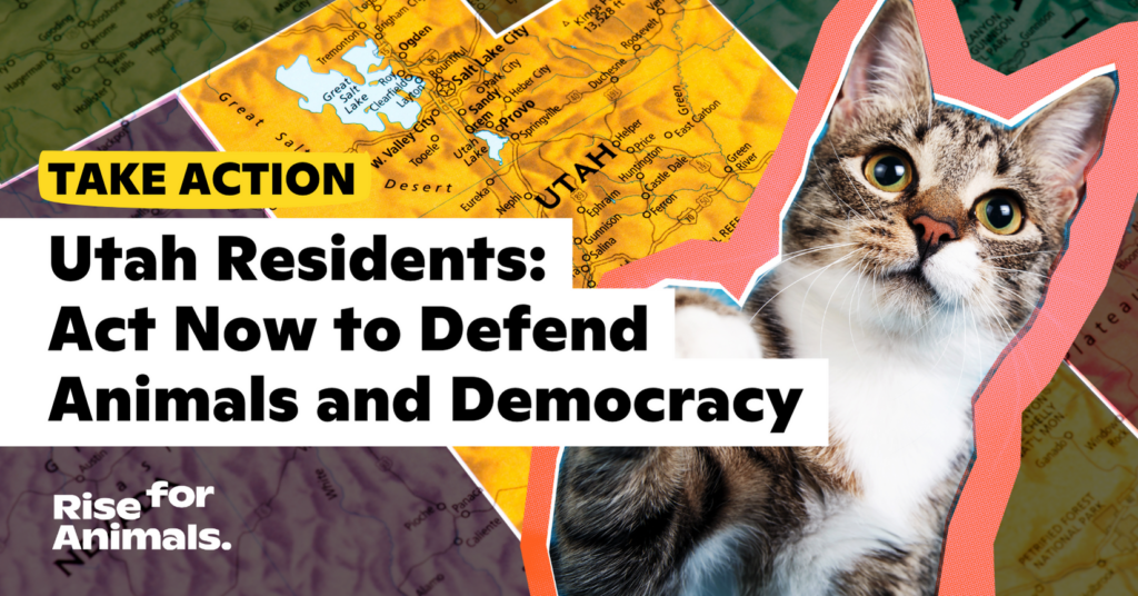 Utah Residents Must Act to Defend Animals and Democracy – Rise for Animals