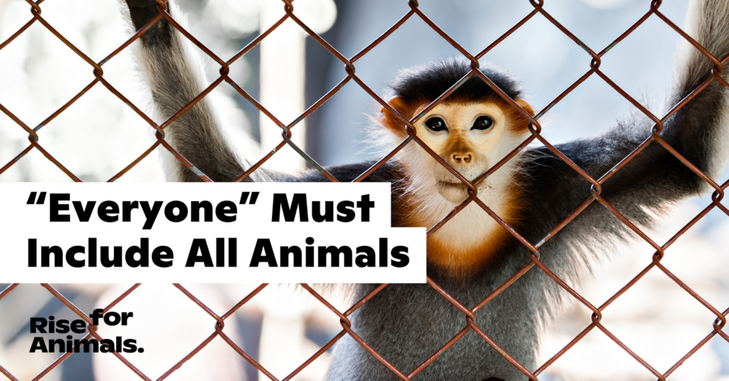 “Everyone” Must Include All Animals – Rise for Animals