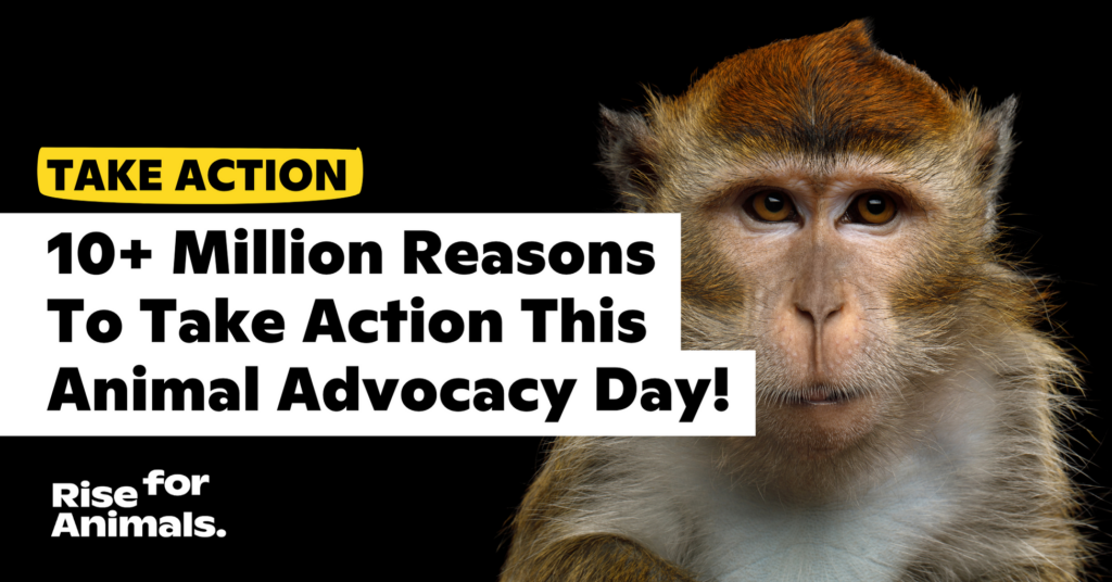 10+ Million Reasons to Take Action this Animal Advocacy Day! – Rise for ...