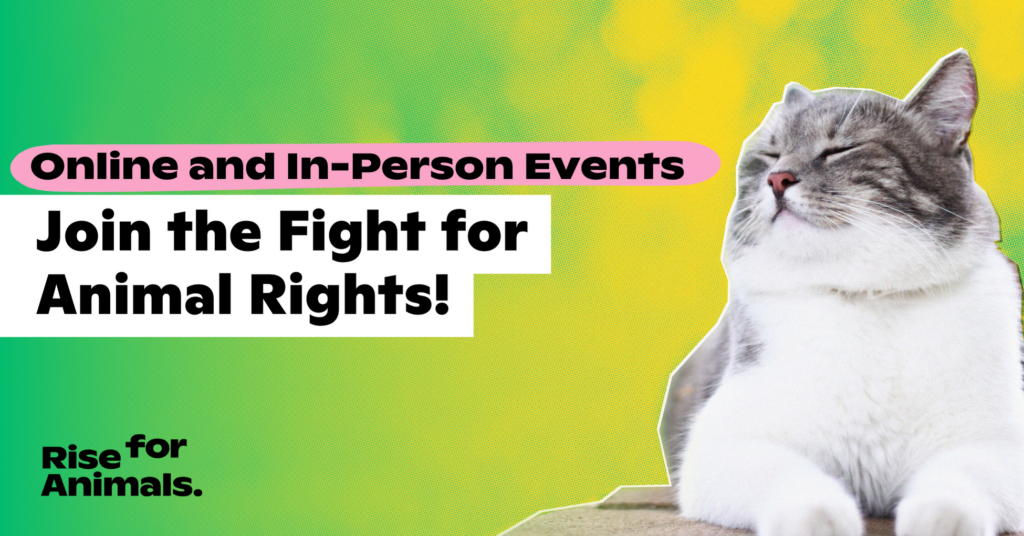 Anti-Vivisection and Animal Rights Events – Rise for Animals