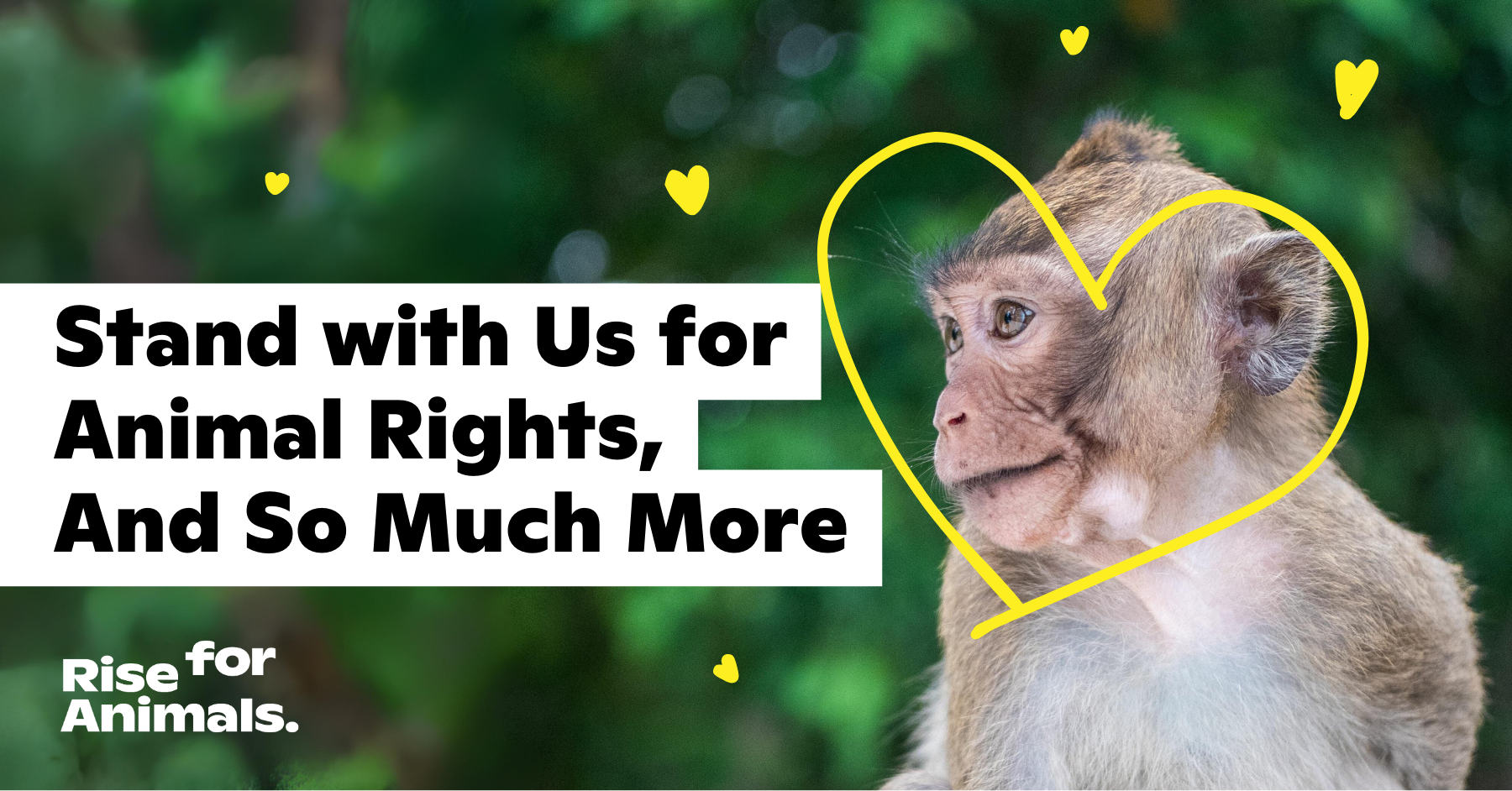 Stand with Us for Animal Rights, and So Much More – Rise for Animals