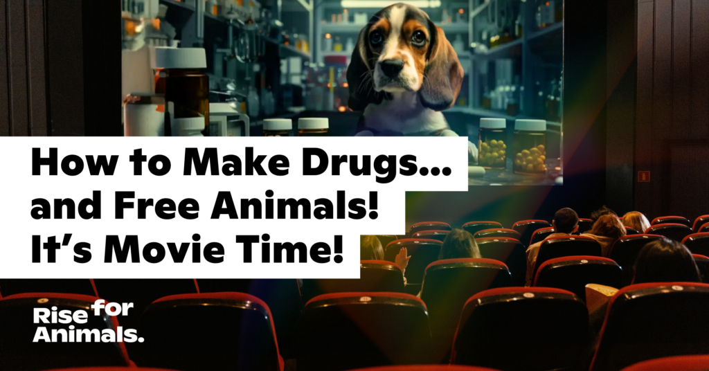 How to Make Drugs... and Free Animals! It’s Movie Time! – Rise for Animals