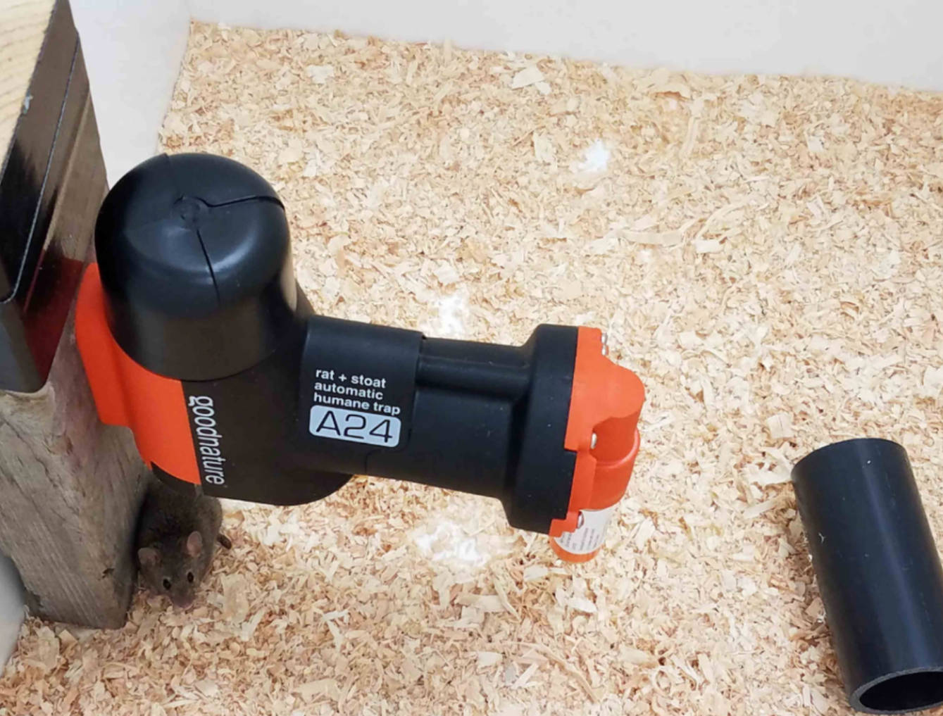 Kill-Traps Kill Animals: Thanks for the New “Research”, USDA – Rise for ...