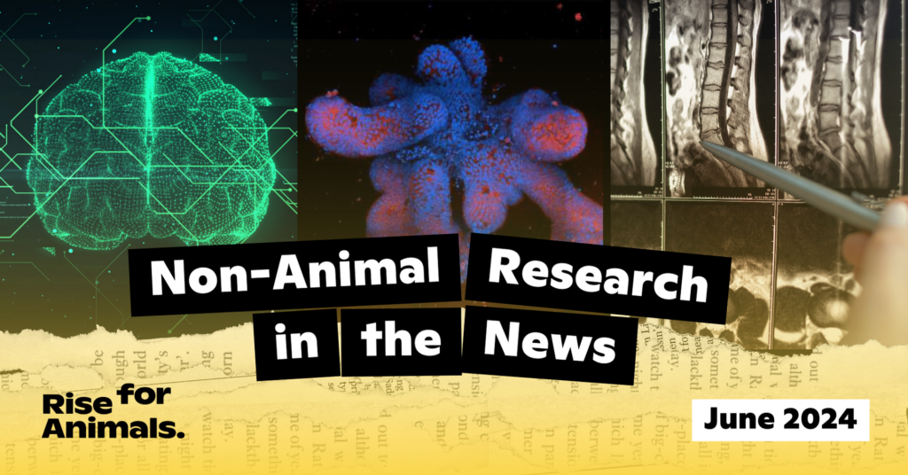 Non-Animal Research in the News: June 2024 – Rise for Animals