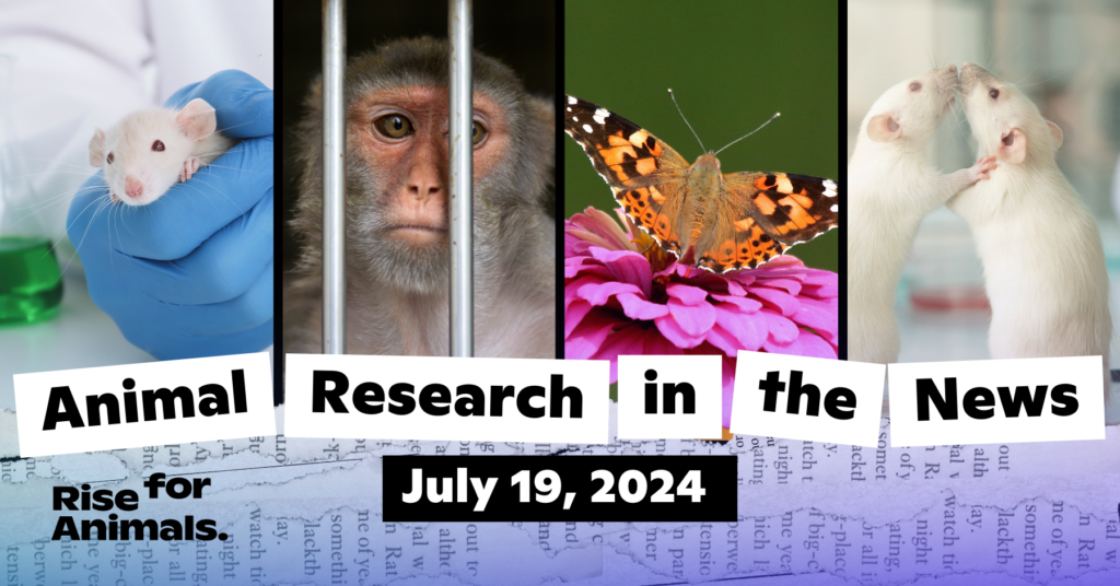 Animal Research News Roundup: July 19, 2024 – Rise for Animals