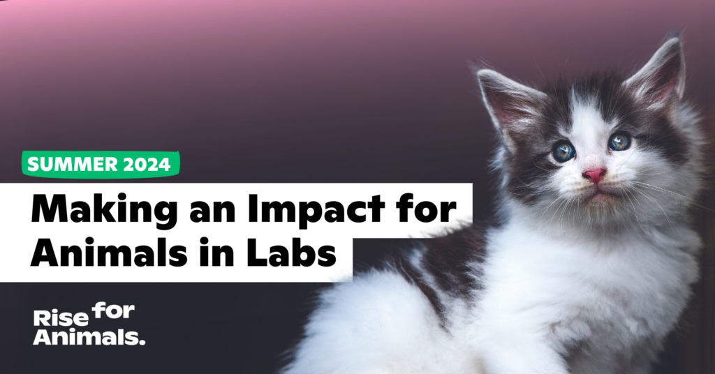 Making an Impact for Animals in Labs – Rise for Animals