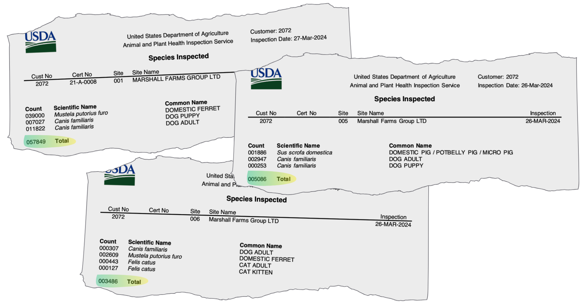 Rare Photos Inside a Mega-Breeder for Animal Research – Rise for Animals