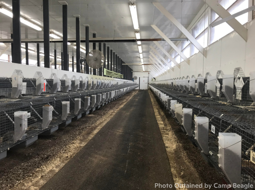 The Truth About Marshall BioResources – Rise for Animals