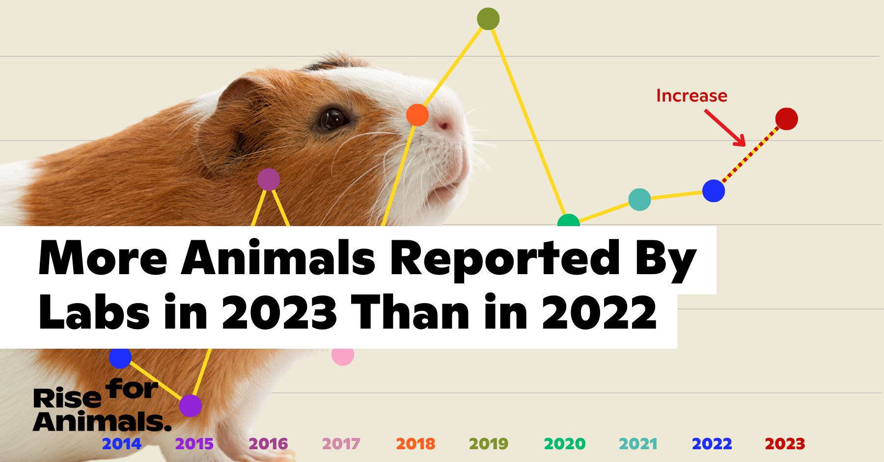 Animal Statistics 2022