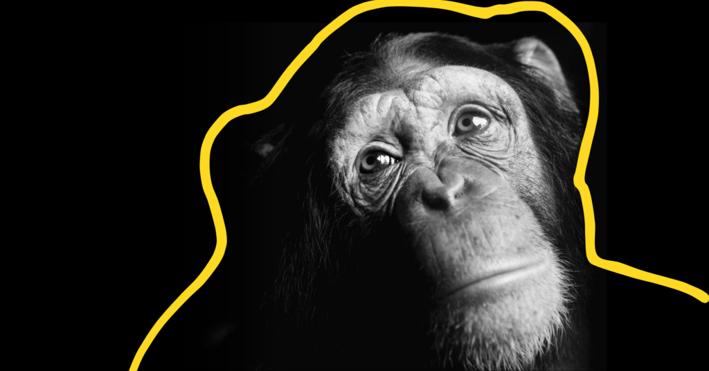 Animal Researchers Deny Evolution to Justify Their Careers – Rise for ...