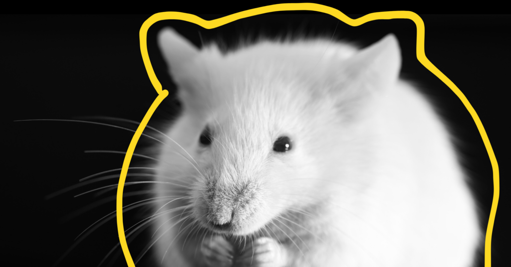 Animal Researchers Deny Evolution to Justify Their Careers – Rise for ...