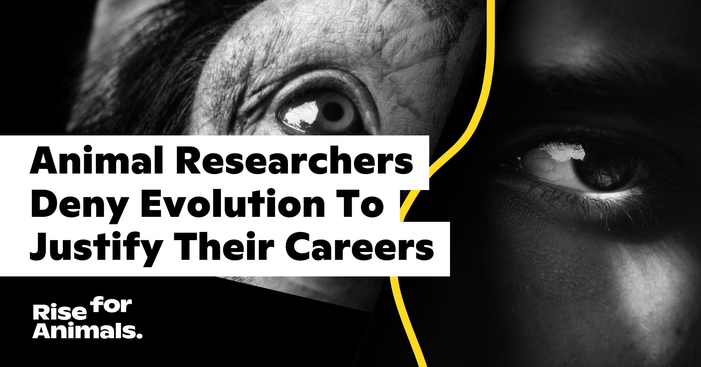 Animal Researchers Deny Evolution to Justify Their Careers – Rise for ...