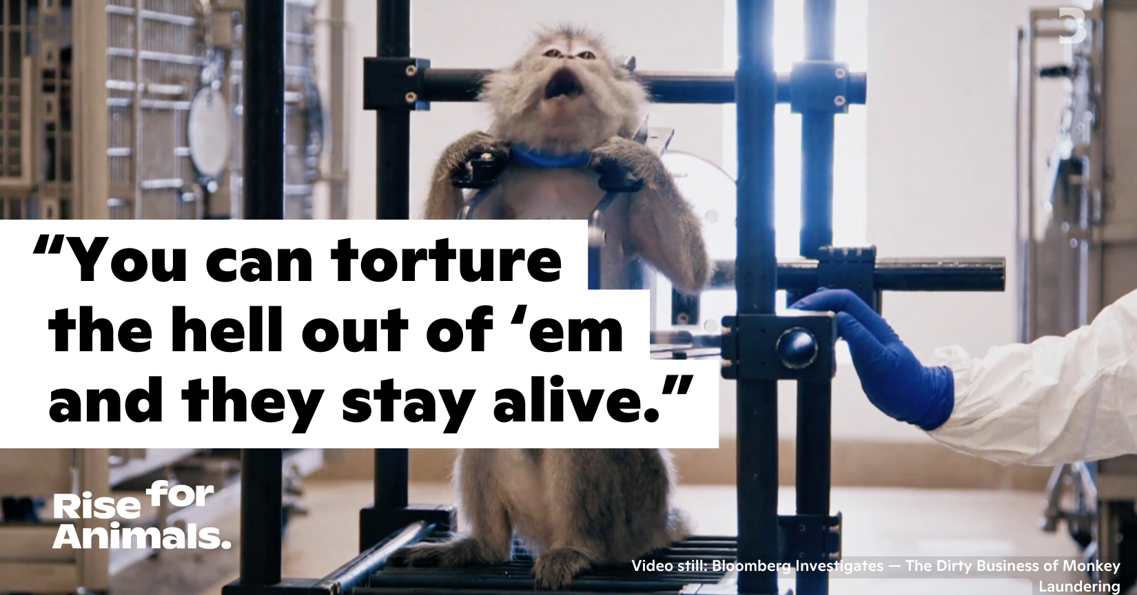 “You can torture the hell out of ‘em and they stay alive.” – Rise for ...