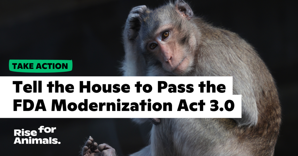 Tell the House to Pass the FDA Modernization Act 3.0 – Rise for Animals