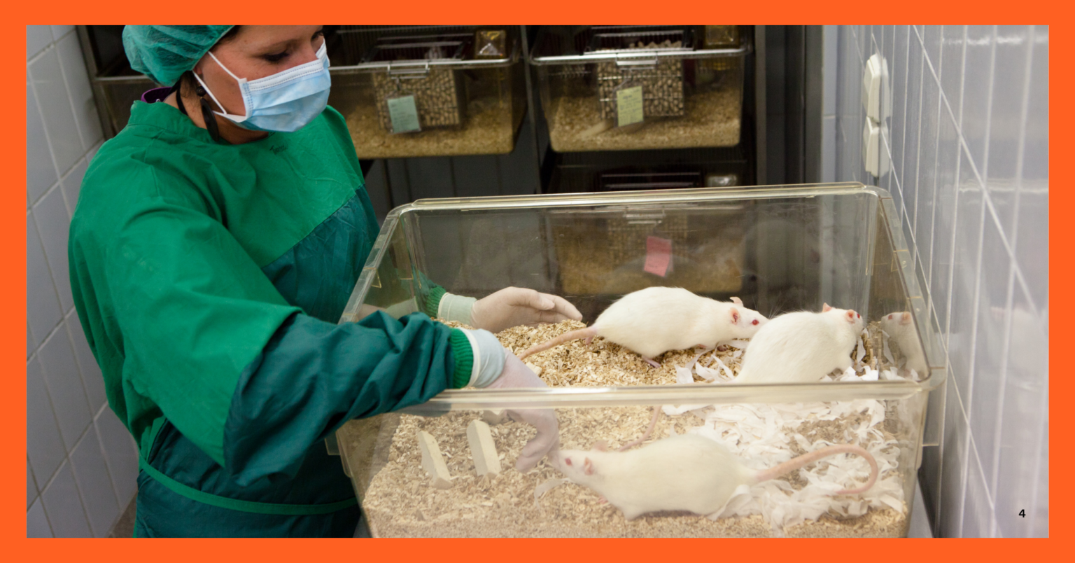 Displacement, Not Replacement: Rethinking Vivisection’s End – Rise for ...