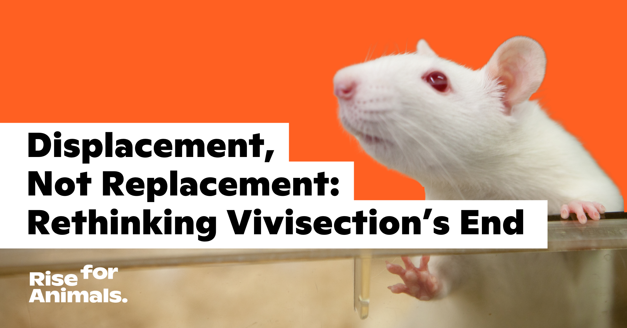 Displacement, Not Replacement: Rethinking Vivisection’s End – Rise for ...