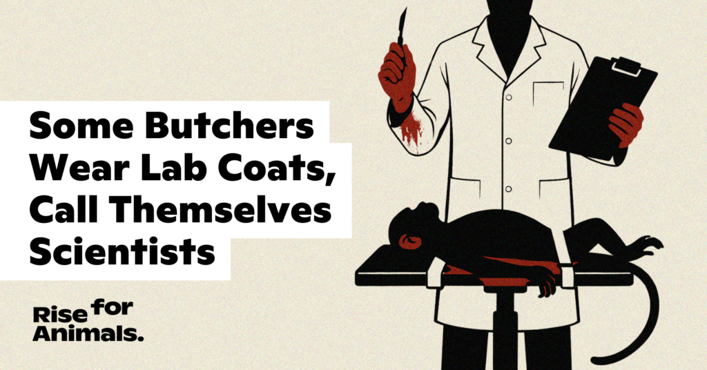 Some Butchers Wear Lab Coats, Call Themselves Scientists – Rise for Animals